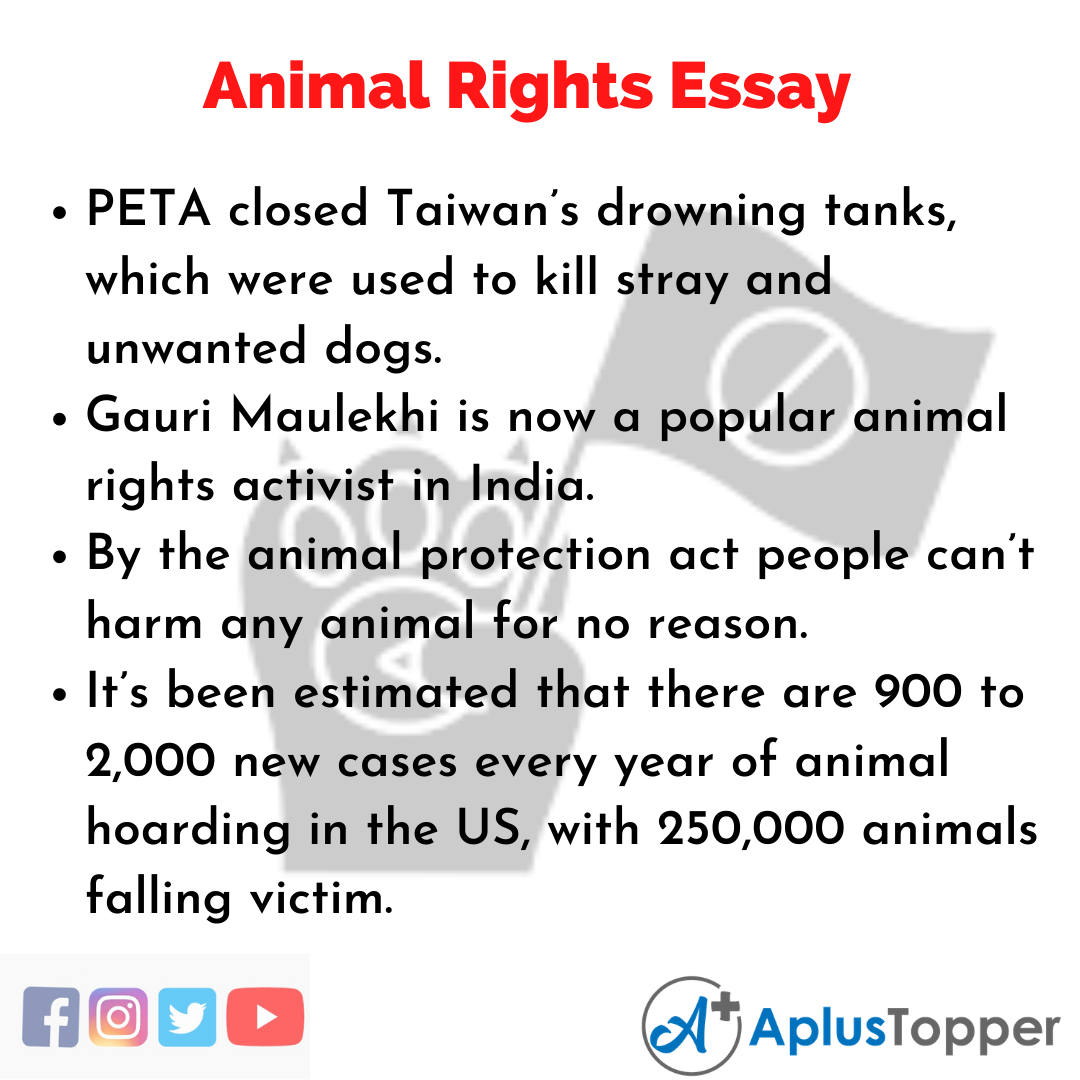 Animal Right Essay | Essay on Animal Right for Students and Children in ...