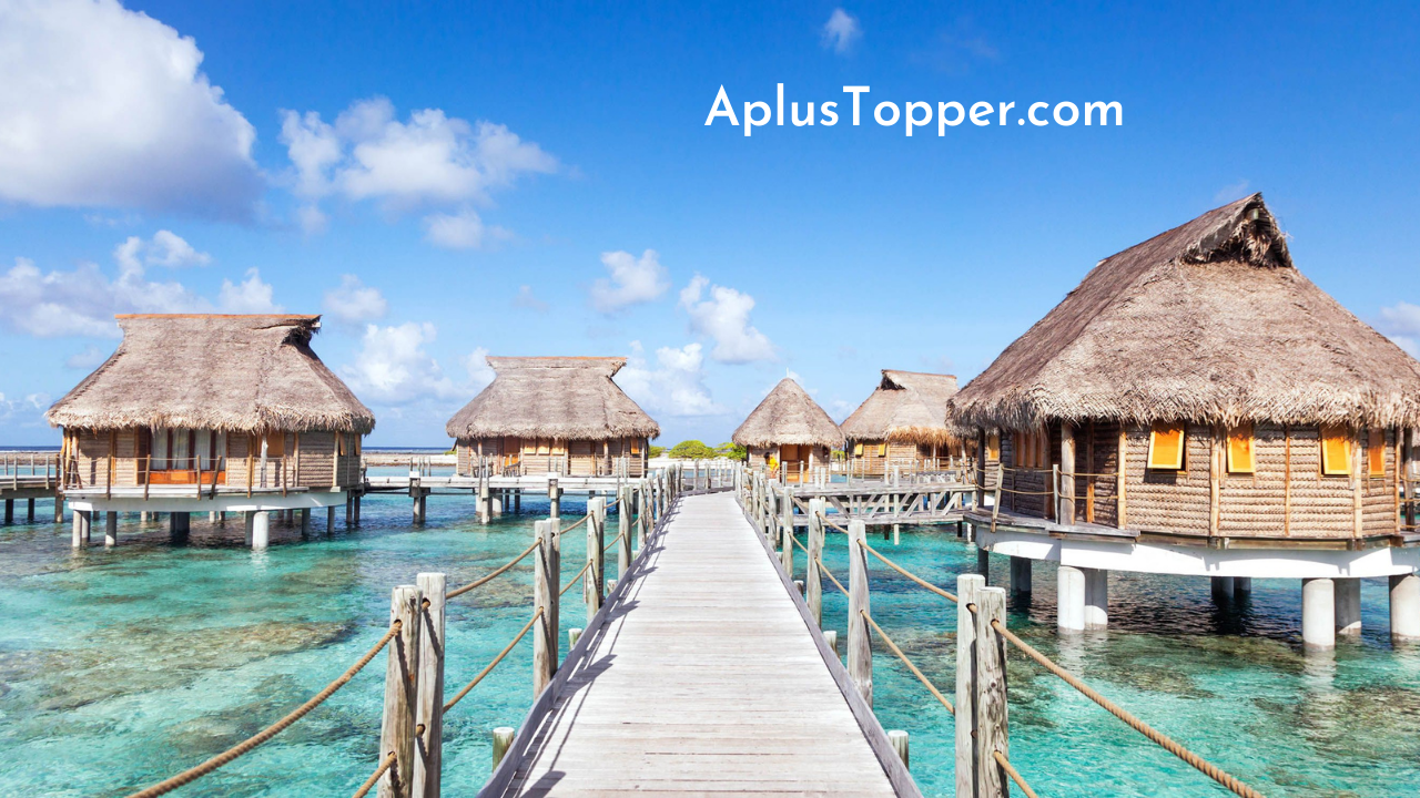 My Dream Vacation Essay | Essay on My Perfect Dream Vacation, My Dream ...