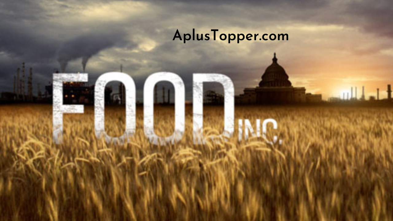 Food Inc Essay | Essay on the Food Industry and Big Food - A Plus Topper