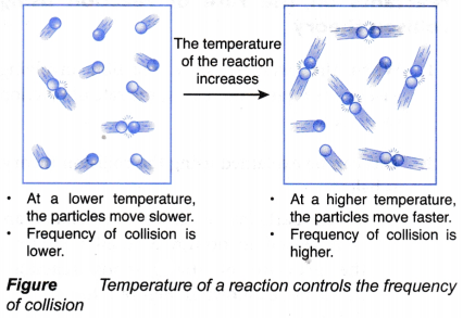 How does the collision theory affect the rate of reaction? - A Plus Topper
