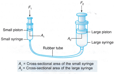Understanding Pressure Using Pascal’s Principle - A Plus Topper