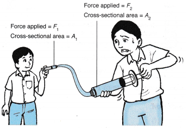 Understanding Pressure Using Pascal’s Principle - A Plus Topper