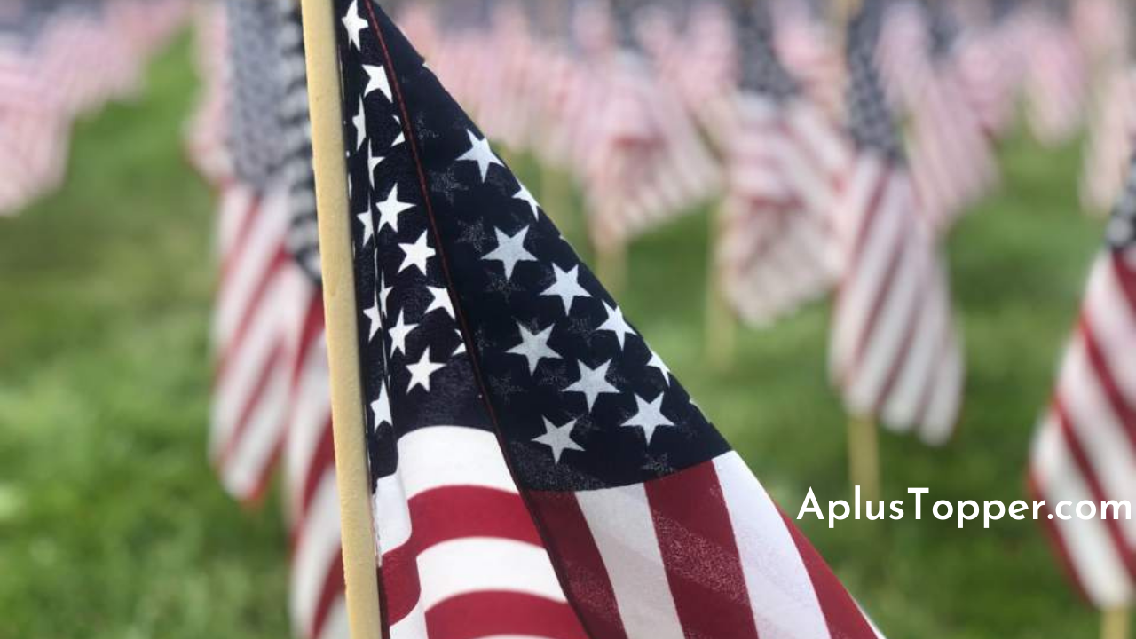 Why I Honor The American Flag Essay | An Essay About The American Flag ...